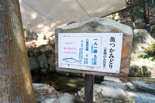 【埼玉】BaviおすすめのBBQ場4選｜日帰りOK！手ぶら会場もご紹介【会場】 | 日本最大級のバーベキュー場プラットフォーム Bavi