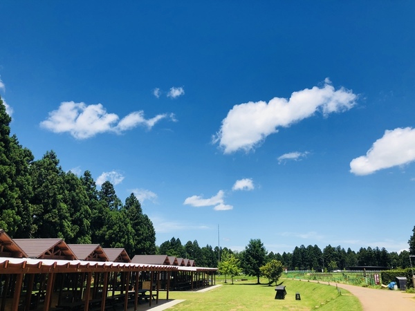 THE FARM BBQ | 日本最大級のBBQプラットフォーム Bavi